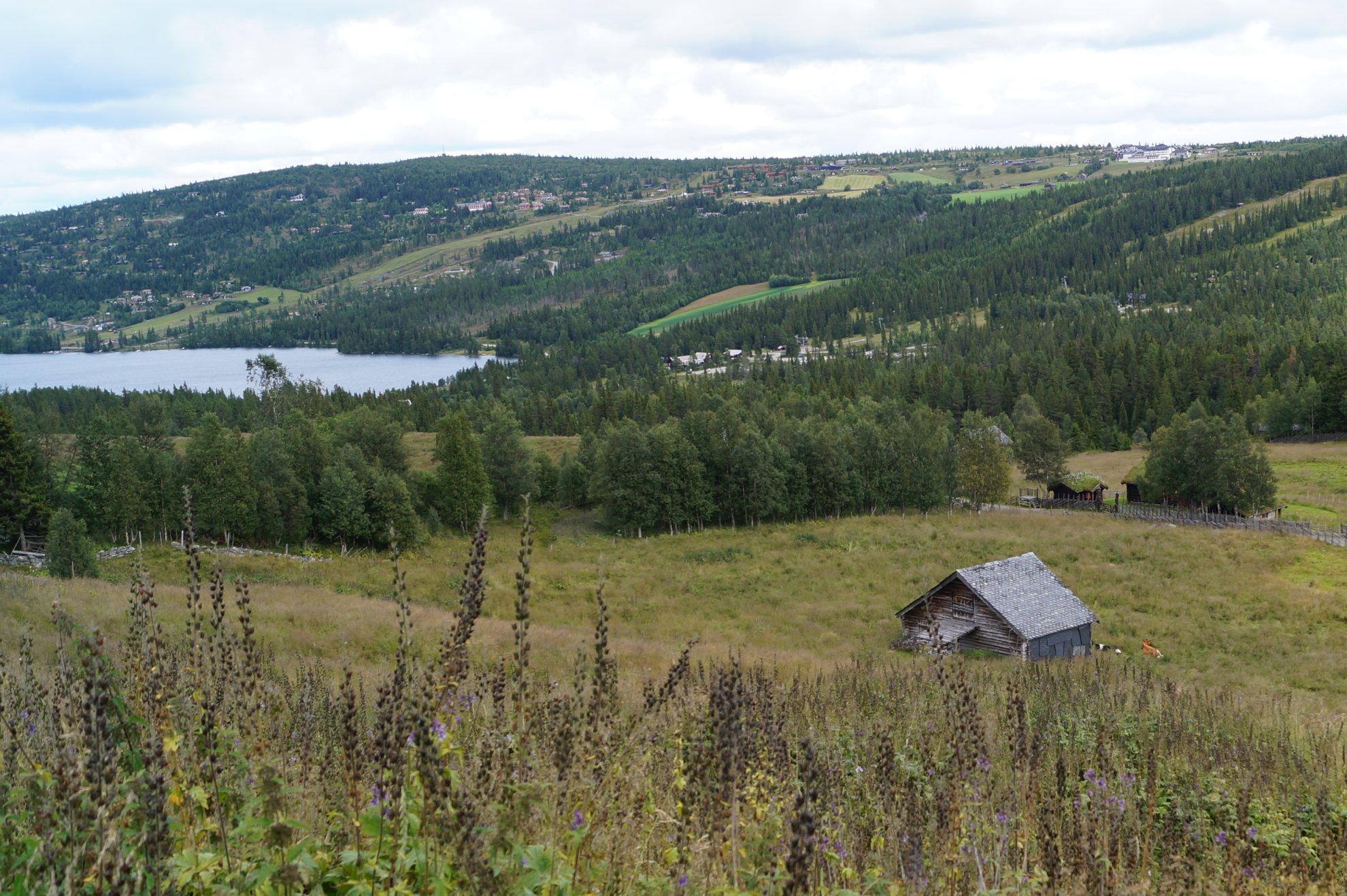 The story of Anne Hov